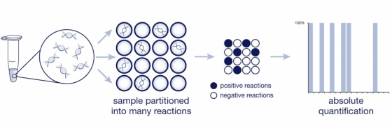 QuantStudio 3D 数字 PCR 系统 - ABI基因扩增设备 - 北京博为高科生物科技有限公司