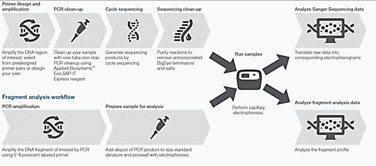 Applied Biosystems SeqStudio 基因分析仪 - ABI基因扩增设备 - 北京博为高科生物科技有限公司