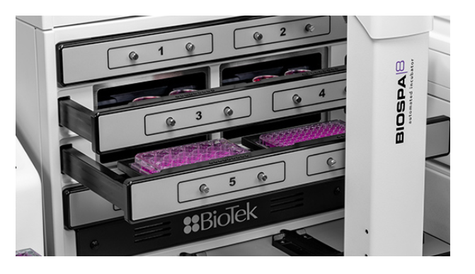 自动化孵育器BioSpa8 - BioTek 细胞成像微孔板分析仪 - 北京博为高科生物科技有限公司