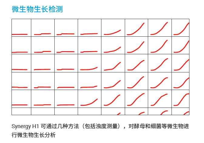 Agilent BioTek Synergy H1 多功能微孔板检测仪 - BioTek 细胞成像微孔板分析仪 - 北京博为高科生物科技有限公司